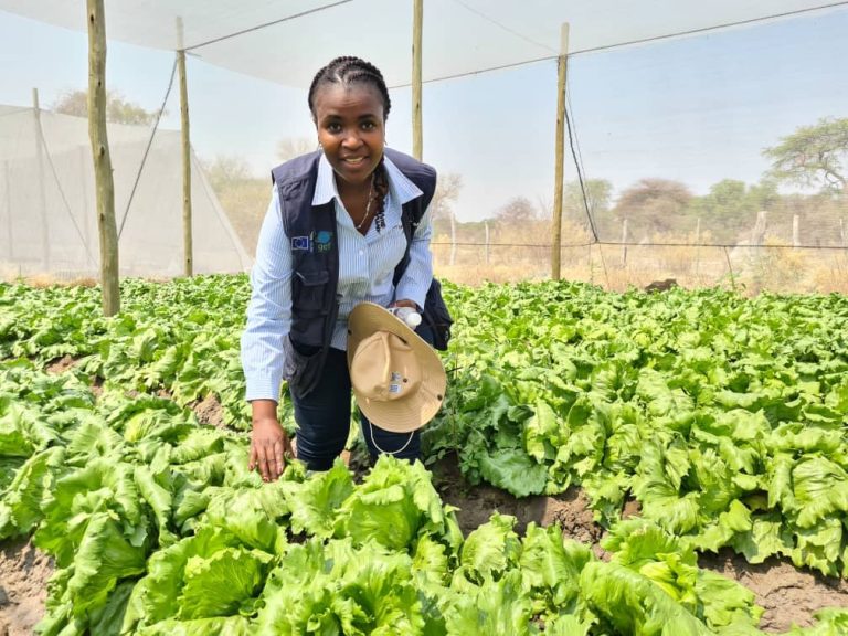 Protecting the Cubango-Okavango River to support livelihoods - CIWA program