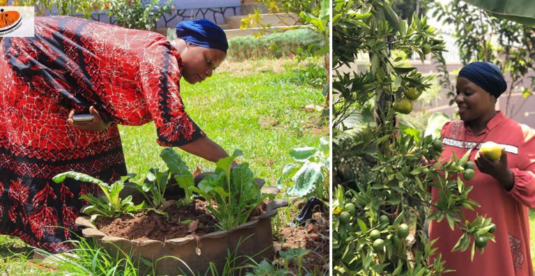 Green Homes for Sustainable Development: Creating Climate Change ...