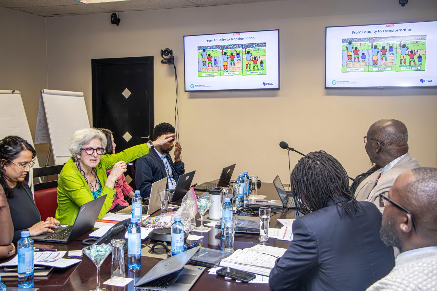 Empowering Women: CIWA Male Champions Unite in Lesotho - CIWA program